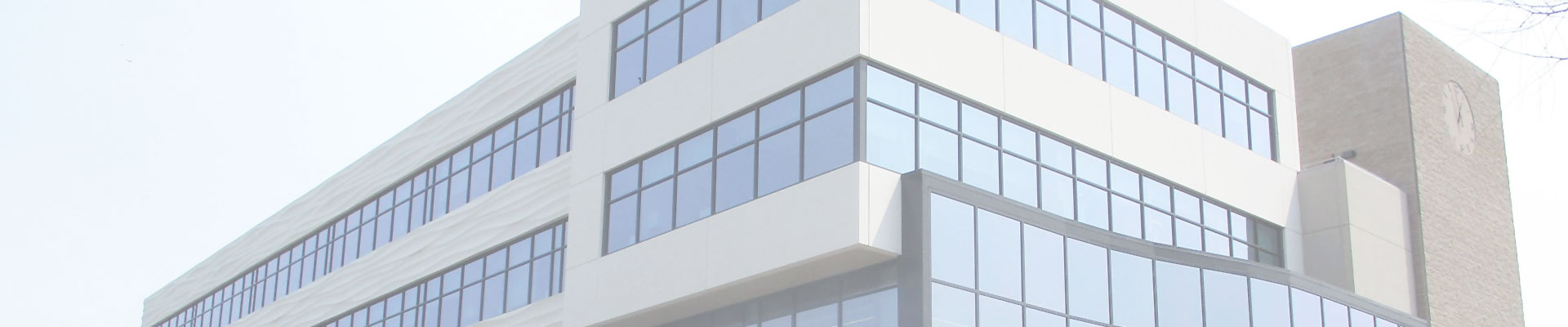 Common Fixing Devices for Architectural Mesh